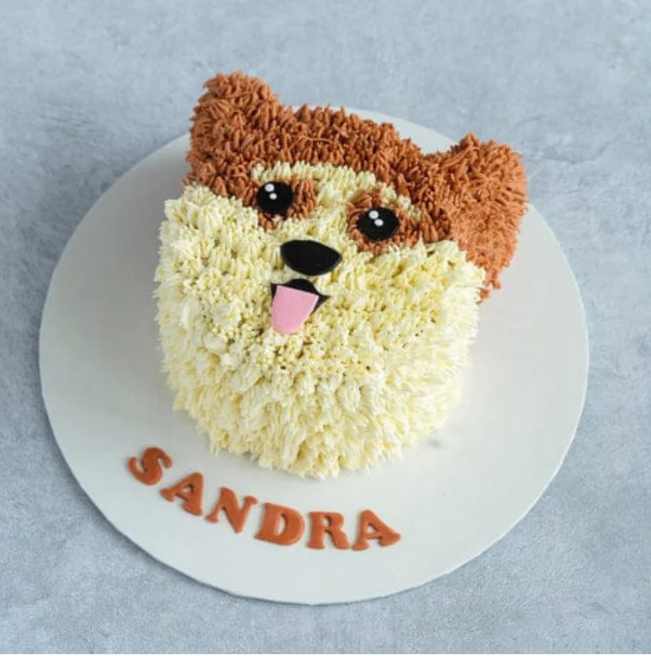 Corgi Dog Face Cake | Custom Dog Cakes | The Pet Belly